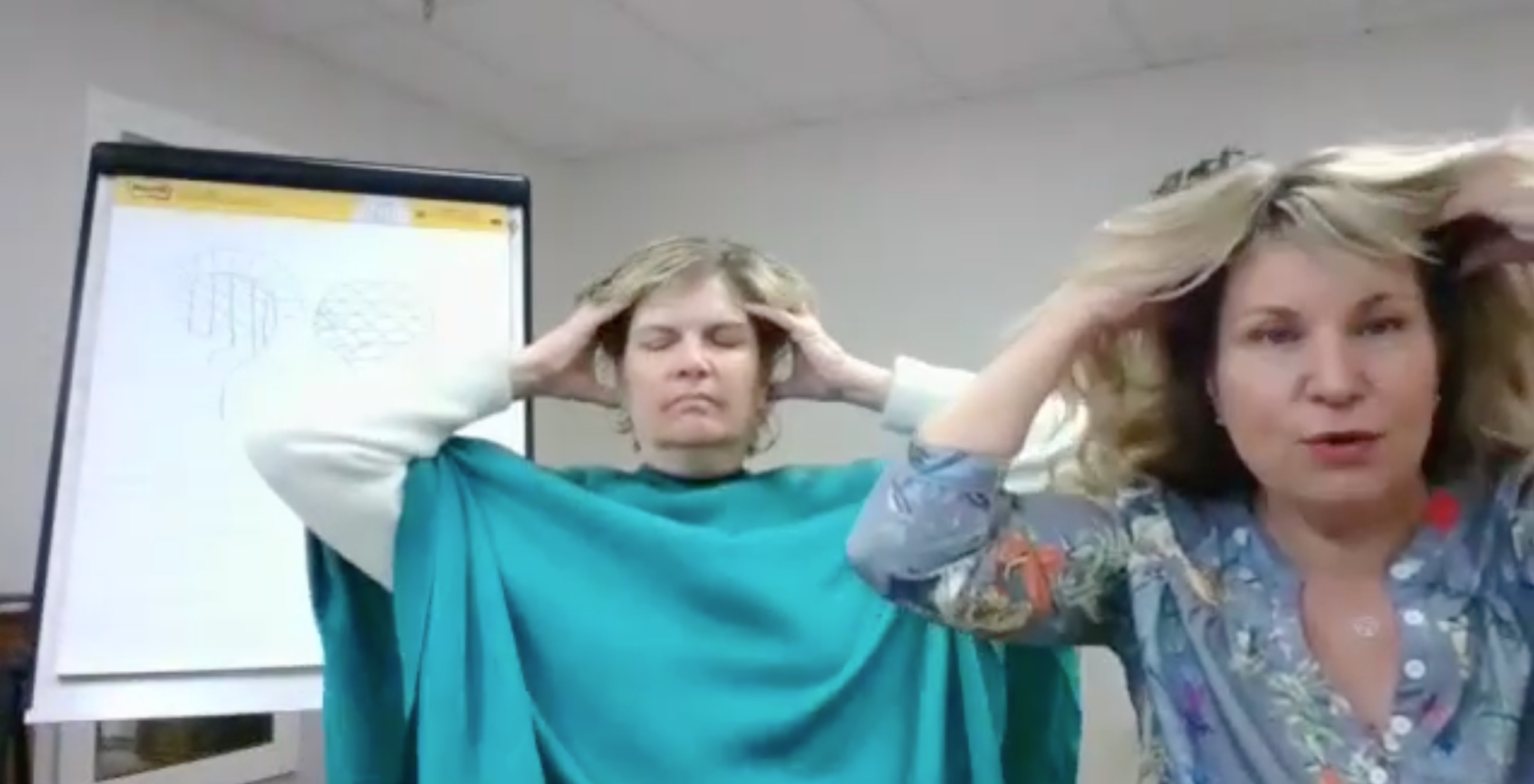 education Pro - Class Recording – Innersense Organic Beauty Inc